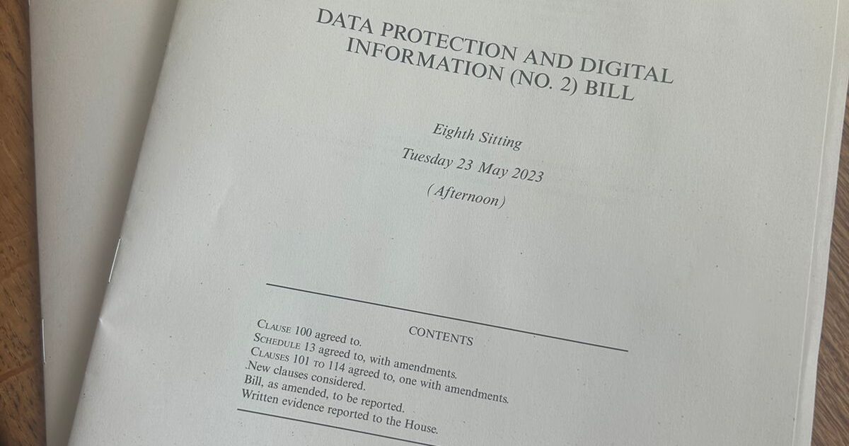 Stephanie Peacock MP Completes Data Bill Committee in Shadow ...